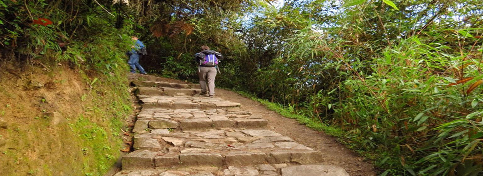 Salkantay Trek to Machu Picchu 4 days | Oki Doki Travel Peru